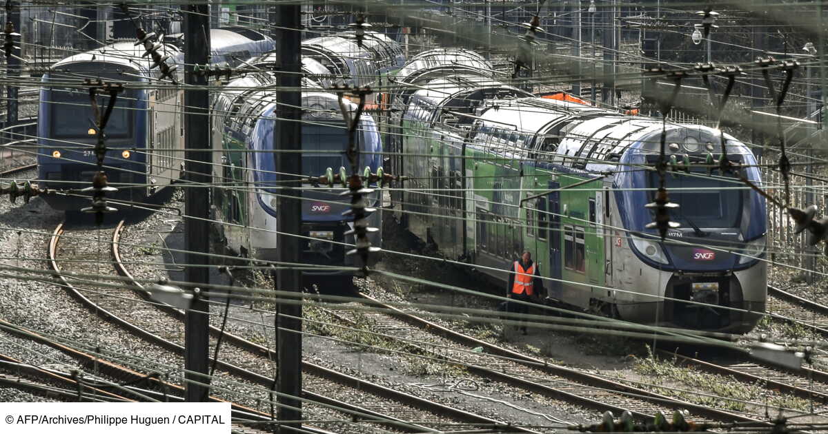 SNCF: un TGV et un Transilien sur deux, deux TER sur cinq jeudi