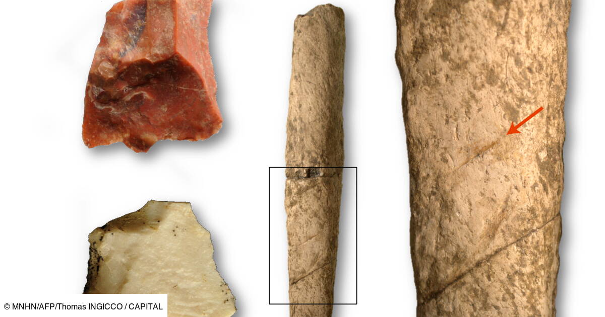 L'Homme aux Philippines dès 700.000 ans? La piste du rhinocéros ...