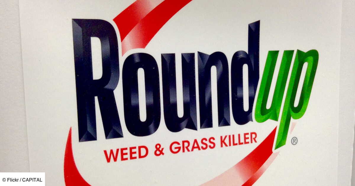 Monsanto : qu’est-ce que le Roundup et pourquoi il fait si peur