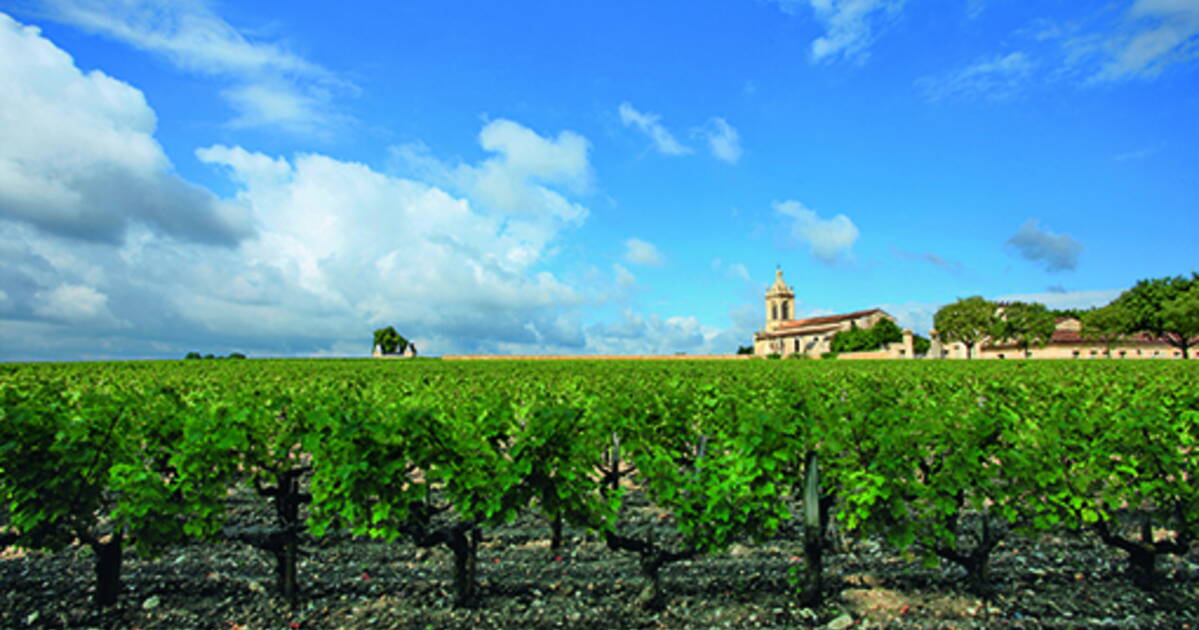 Grands crus de Bordeaux : faut-il réviser le classement de 1855 ...