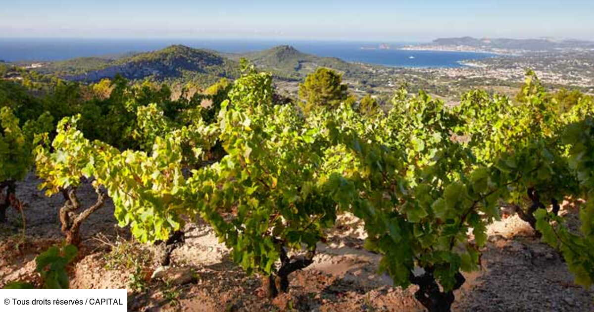 Les 10 bouteilles qui vont vous faire aimer (vraiment) le rosé de Provence