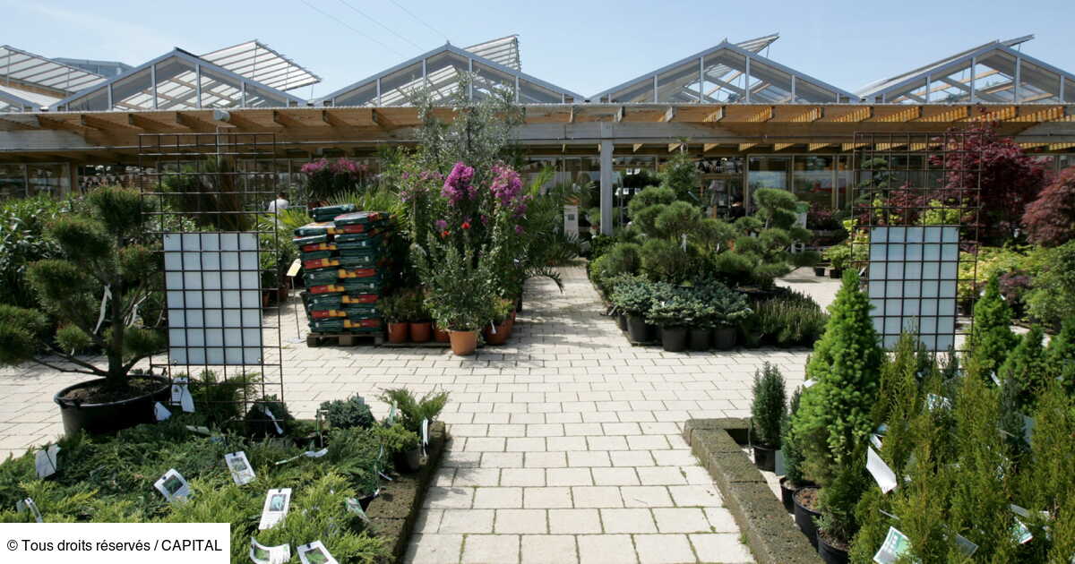 Botanic : cette enseigne de jardinerie a séduit les « biobios