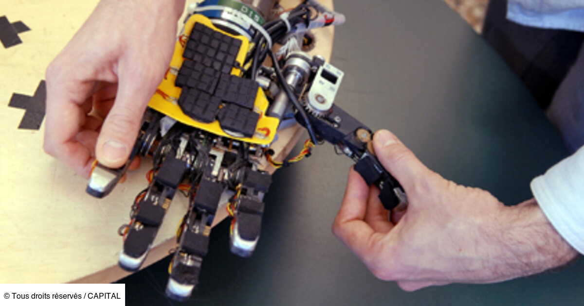 Les fabuleux progrès de la bionique