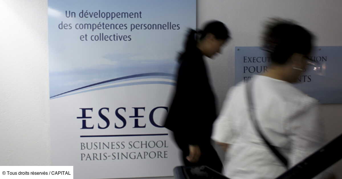 Formation continue : trouver le diplôme adapté à son projet professionnel