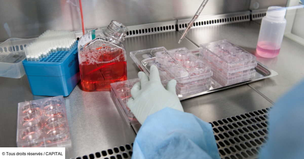 Lutte contre le cancer : les innovations que nous préparent les labos ...