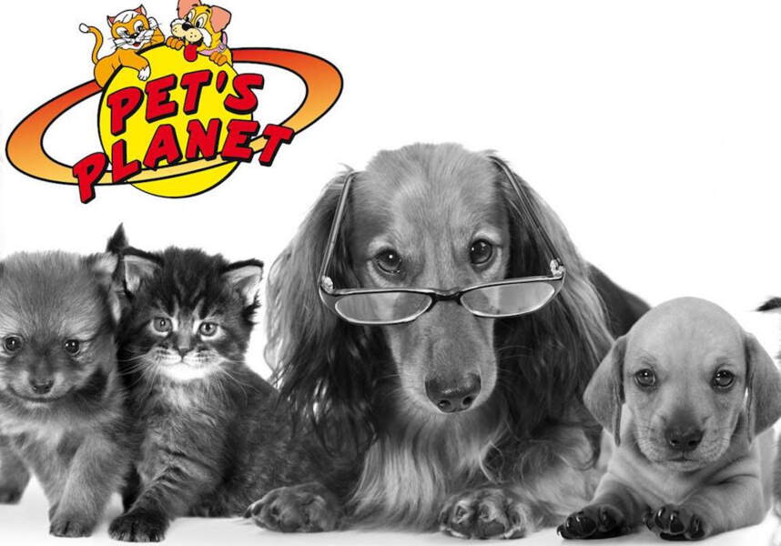 Vous aimez les animaux ? Ces franchises vont vous permettent de vivre ...