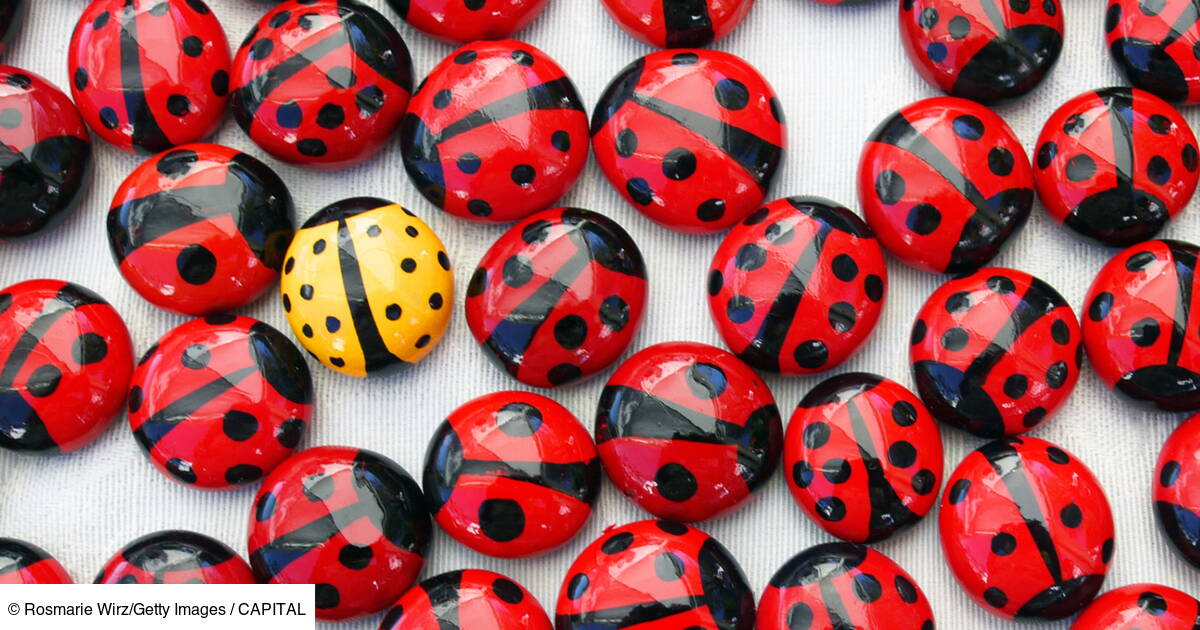 Le jargon du bureau : "casser les codes" - Capital.fr