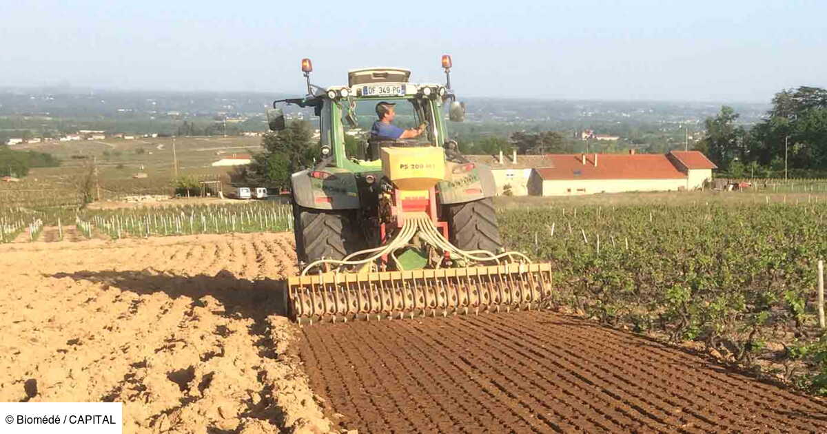 Dépollution des sols, béton écolo... ces entrepreneurs veulent réparer ...