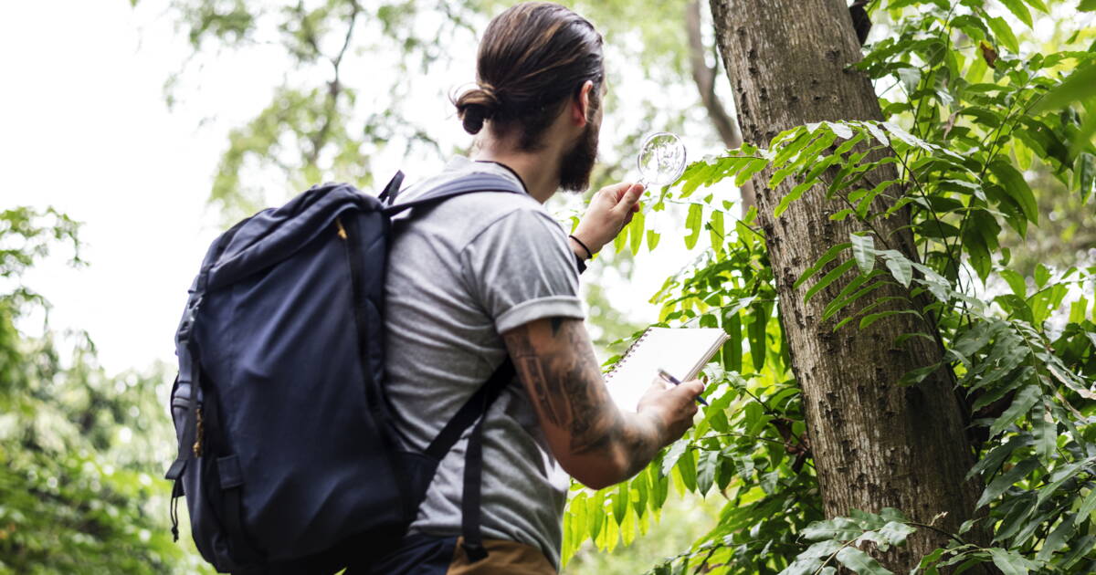 Botaniste : formation et salaire - Capital.fr