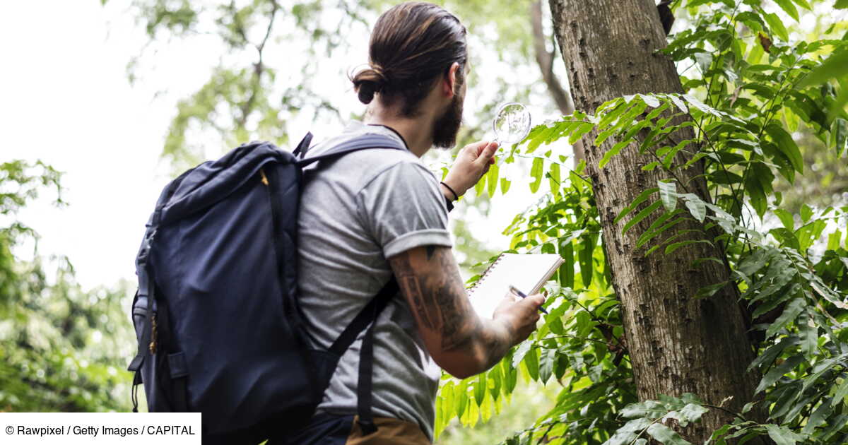 Botaniste : formation et salaire