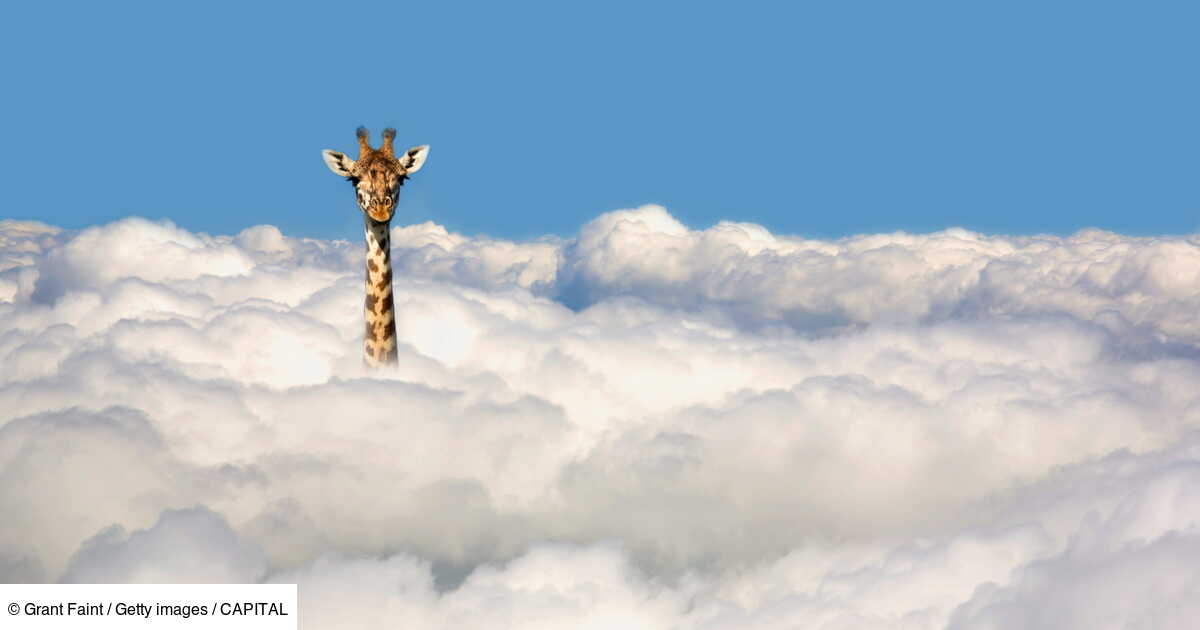 Les futurs maires devront construire plus haut, selon Jean-Philippe ...