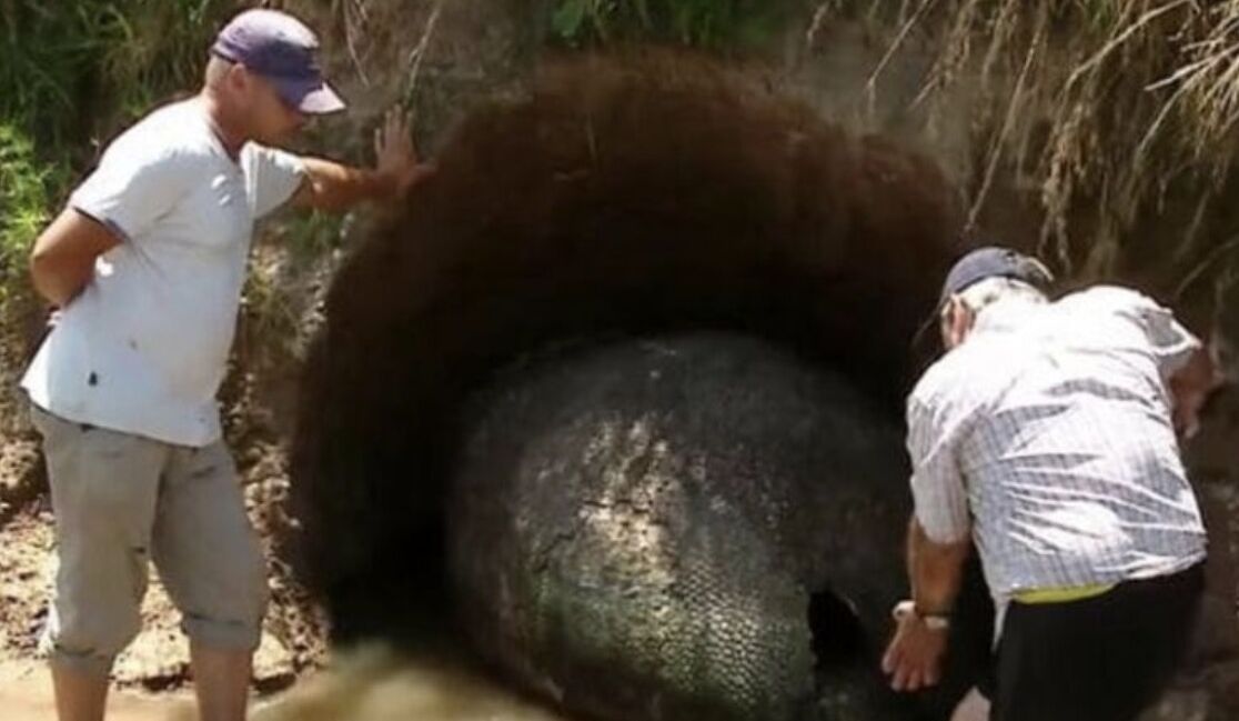 he-thought-he-found-a-dinosaur-egg-but-it-was-actually-something-even