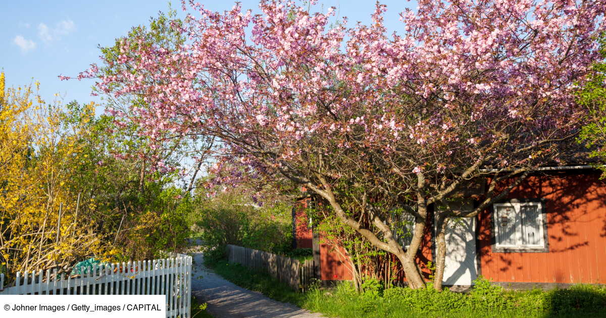 Servitude : définition et fonctionnement