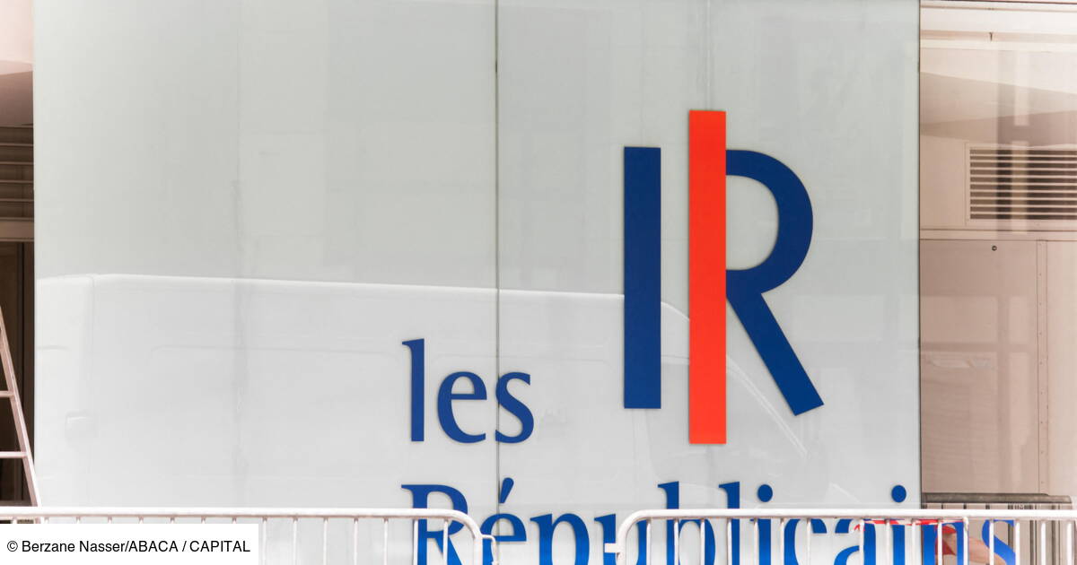 Les Républicains : le nouveau président prendra les rênes d'un parti ...