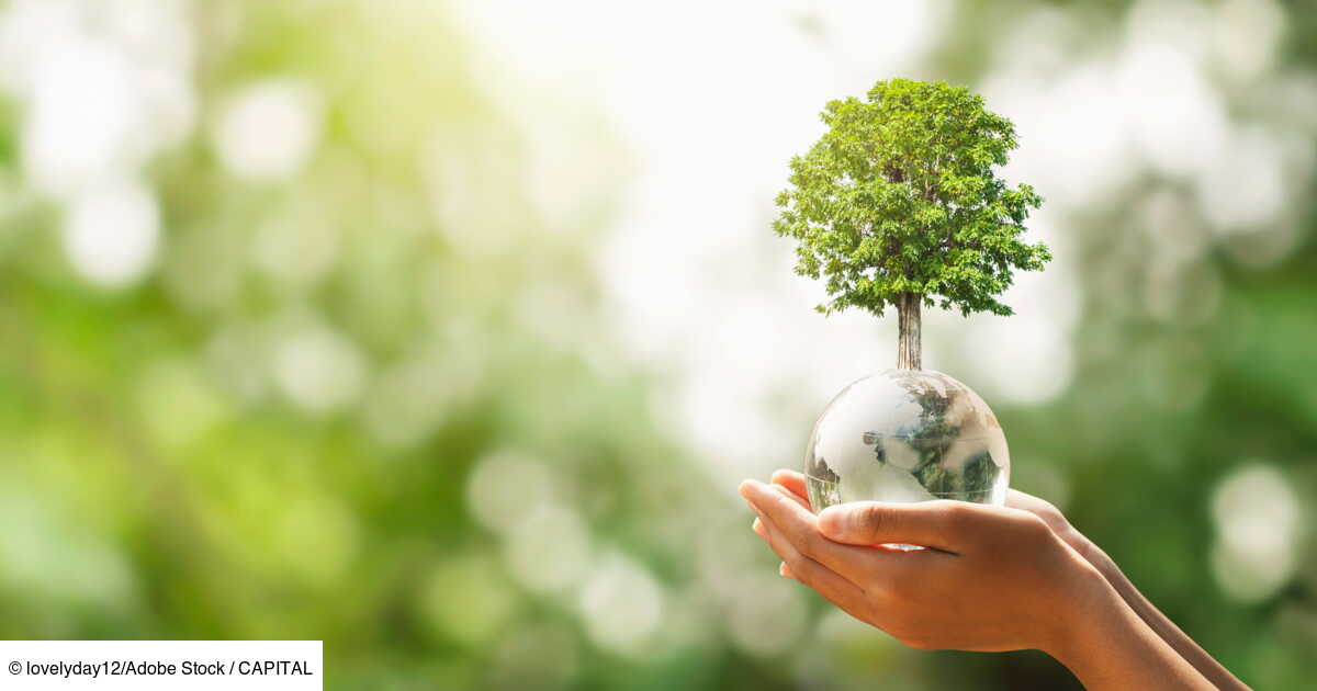 5 métiers verts dont les recrutements vont décoller en 2023 (et leur ...