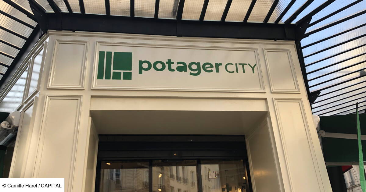 Découvrez en images Potager City, le nouveau magasin de Carrefour ...