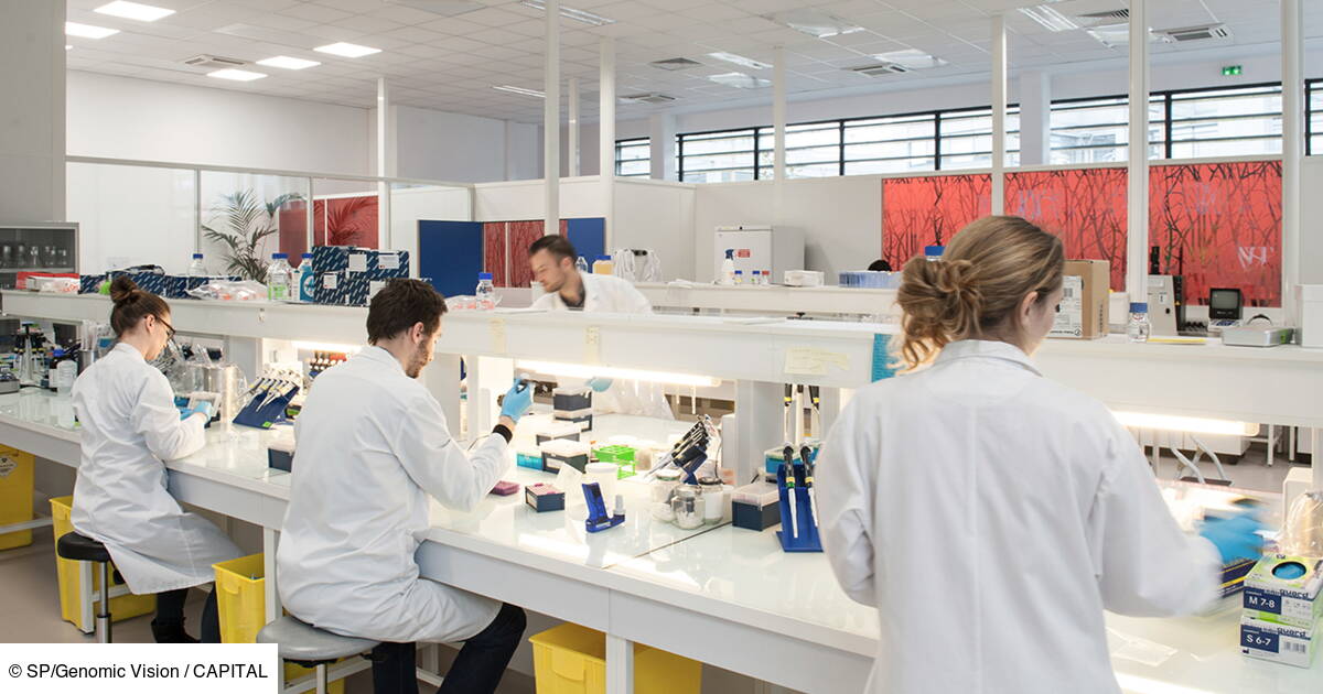 Comprendre les secrets de la réorganisation de l’ADN pour servir la ...