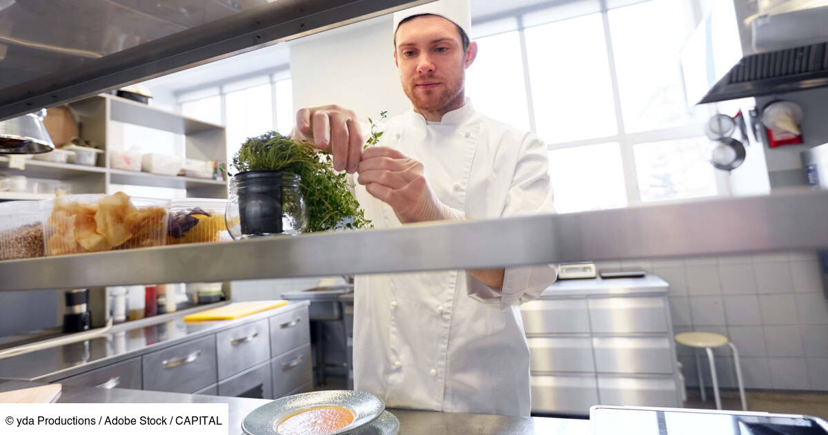 Ecologie : après une prise de conscience, le patron de Davidson ...