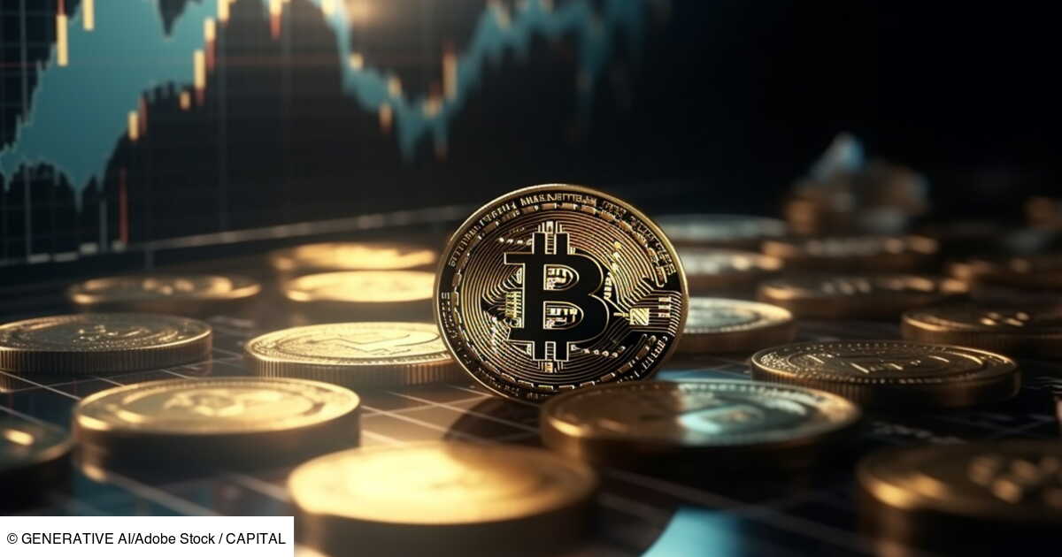 Voici les cinq plus gros détenteurs de bitcoins au monde