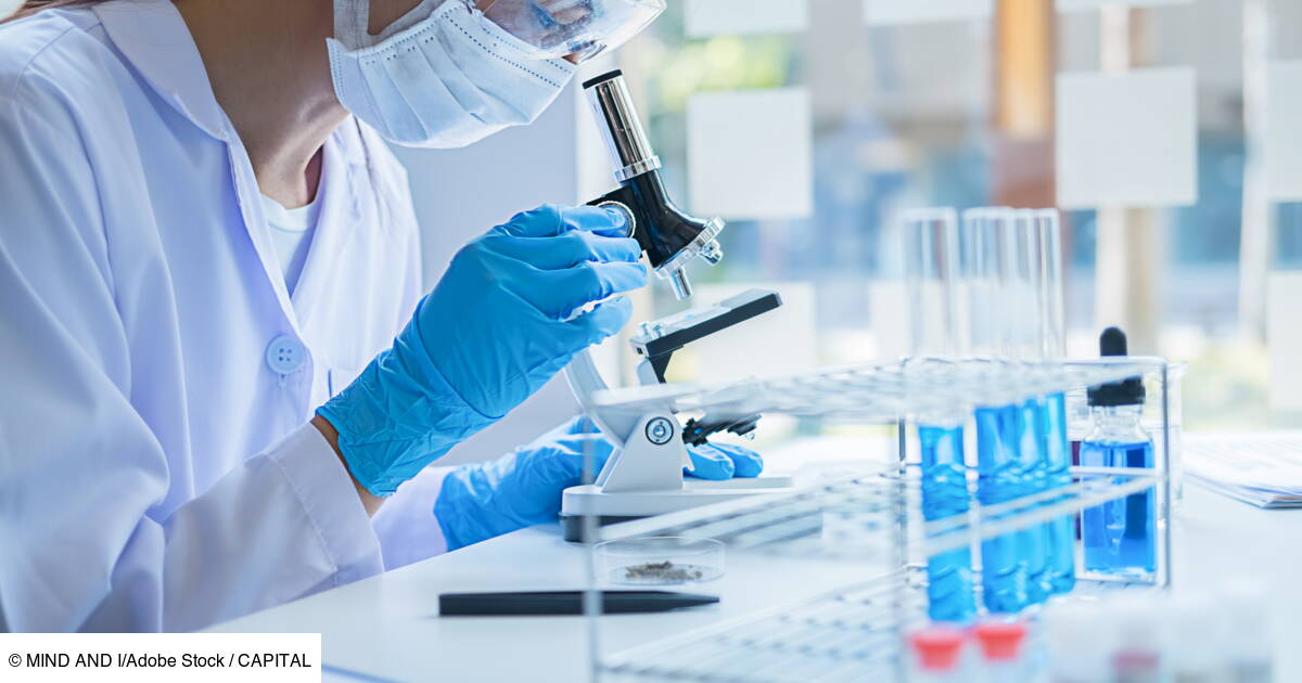 Vingt ans de recherche scientifique partent en fumée après une erreur ...