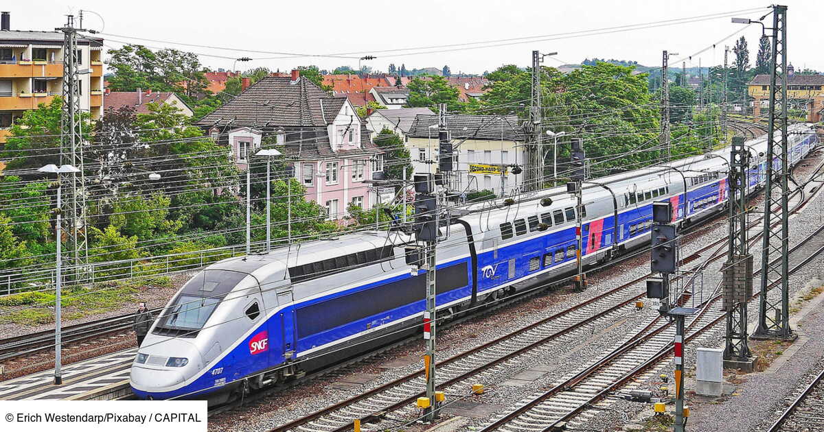 La compagnie ferroviaire Le Train sur le point de concurrencer la SNCF
