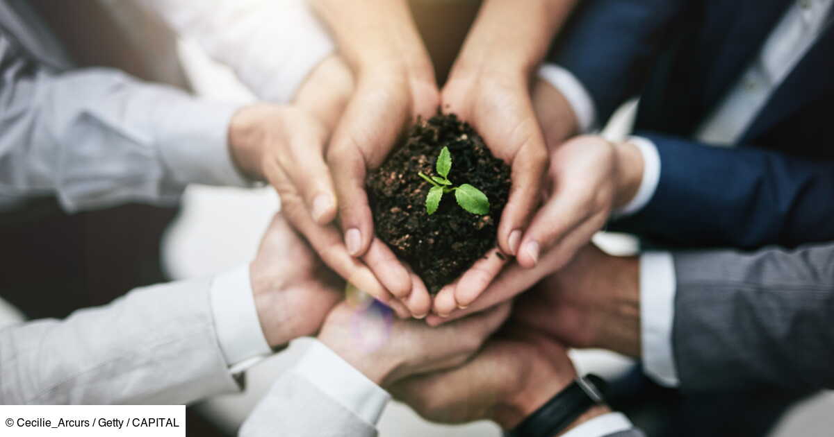 Salaire : combien gagne le top 5 des métiers verts qui recrutent en 2024