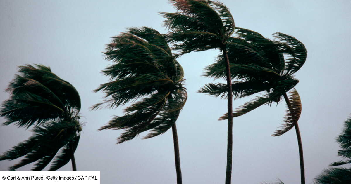 Cyclone Belal à La Réunion : qu’est-ce que l’alerte violette