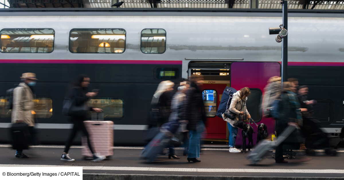 Grève des contrôleurs SNCF : comment savoir si mon train est supprimé