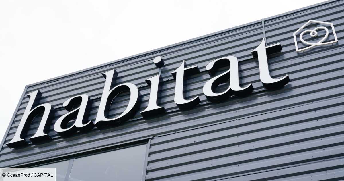 Liquidation Dhabitat Il Y A Eu Trop Derreurs De Commises Selon Les Salariés 
