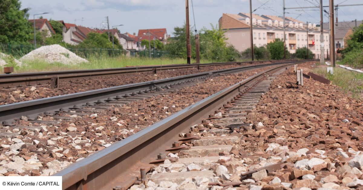 SNCF : le trafic risque d’être fortement perturbé cette année dans ce département