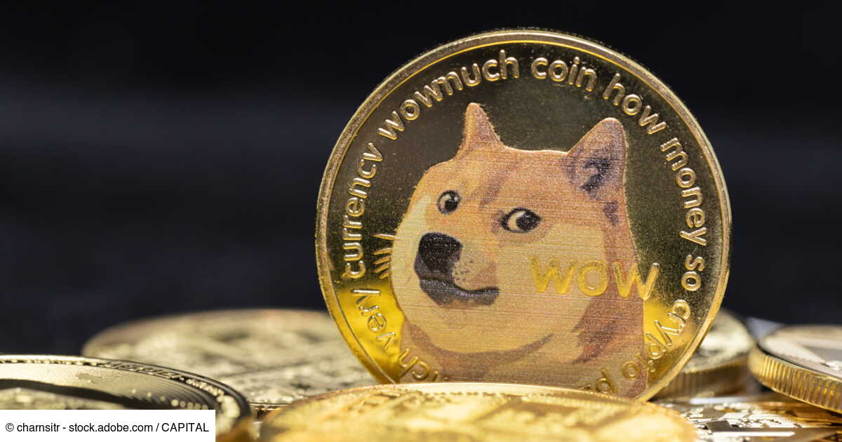 Crypto : Kabosu, la célèbre chienne représentant le Dogecoin, est morte