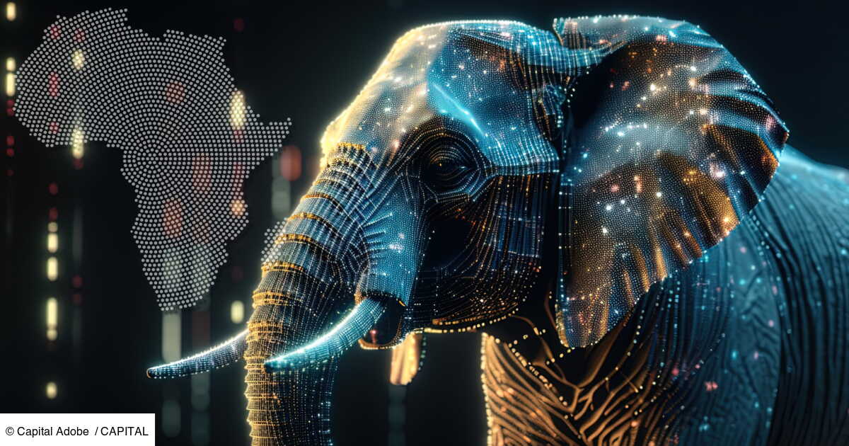 L'Afrique, nouvelle Silicon Valley