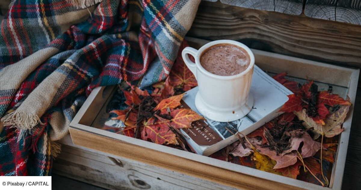 Adieu Poulain : l'icône chocolatée de notre enfance menacée de disparition