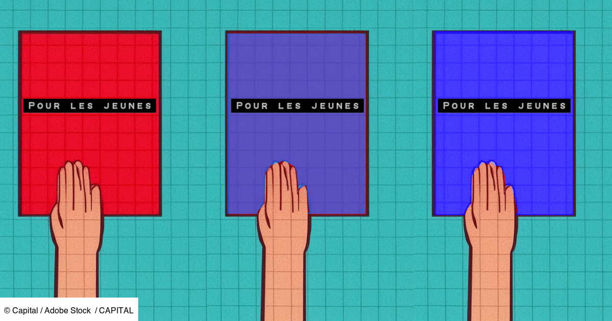 Législatives 2024 : que prévoient les programmes de RN, NFP et Ensemble ...