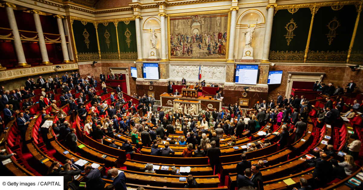Législatives 2024 : voici à quoi pourrait ressembler l’Assemblée nationale