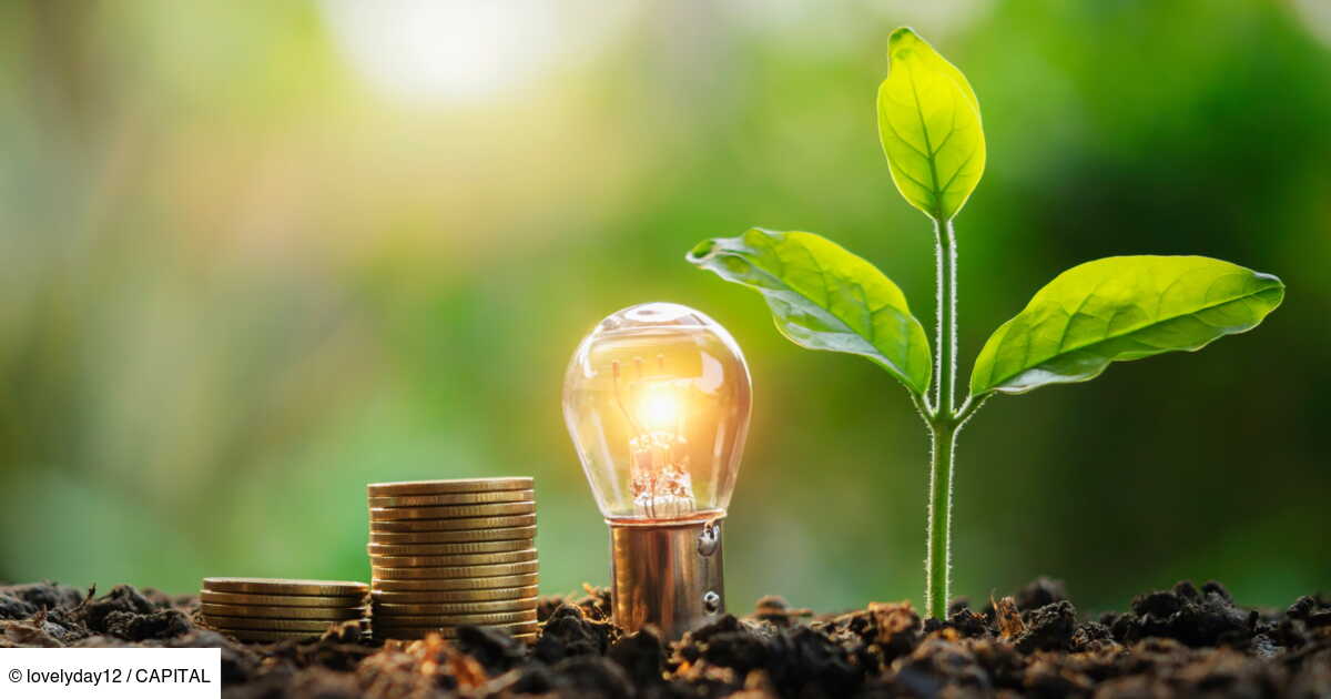 Plan épargne avenir climat (PEAC) : ouverture, versement et plafond