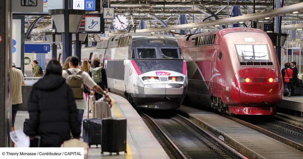 Bagages Ouigo et SNCF : quelles sont les règles