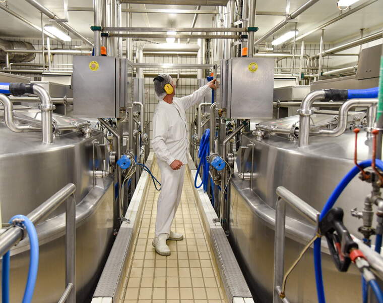 Découvrez en images comment sont fabriqués les Mini Babybel - Capital